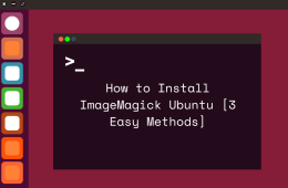 How to Install VMware Tools Ubuntu [6 Easy Steps]