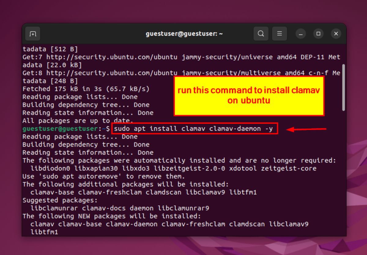 How to Install ClamAV on Ubuntu [12 Easy Steps]