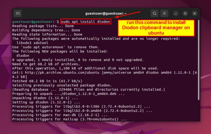 How To Copy and Paste in Linux Terminal[3 Best Methods]