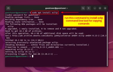 How To Copy and Paste in Linux Terminal[3 Best Methods]
