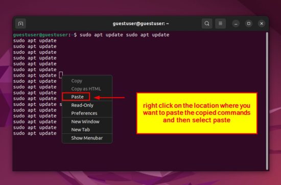 How To Copy and Paste in Linux Terminal[3 Best Methods]