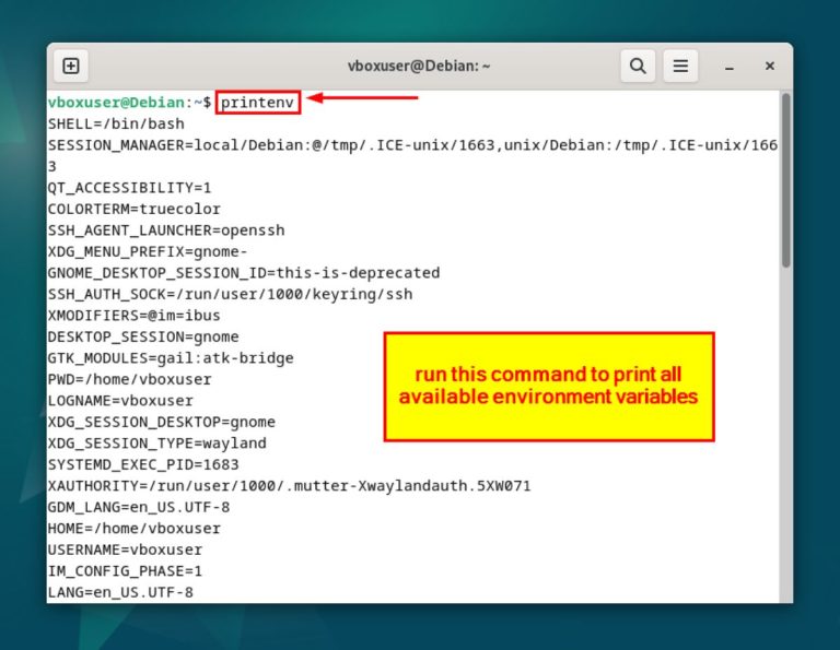 How to Print Env Variable Linux [5 Best Methods]