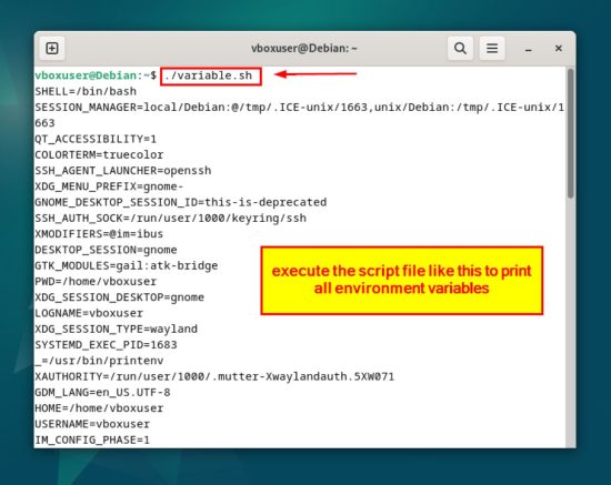 How to Print Env Variable Linux [5 Best Methods]