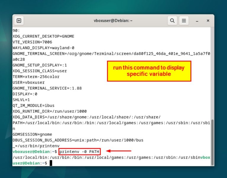 How To Print Env Variable Linux 5 Best Methods