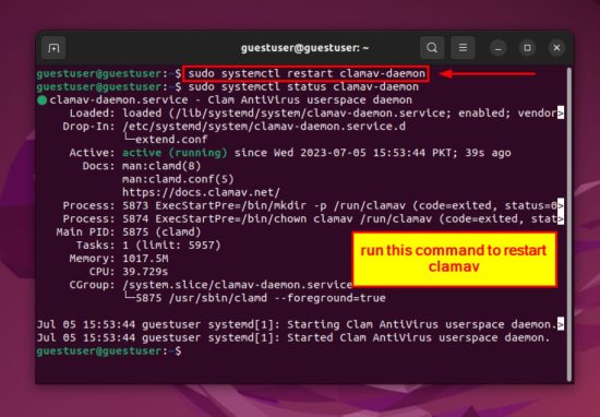 How to Install ClamAV on Ubuntu [12 Easy Steps]
