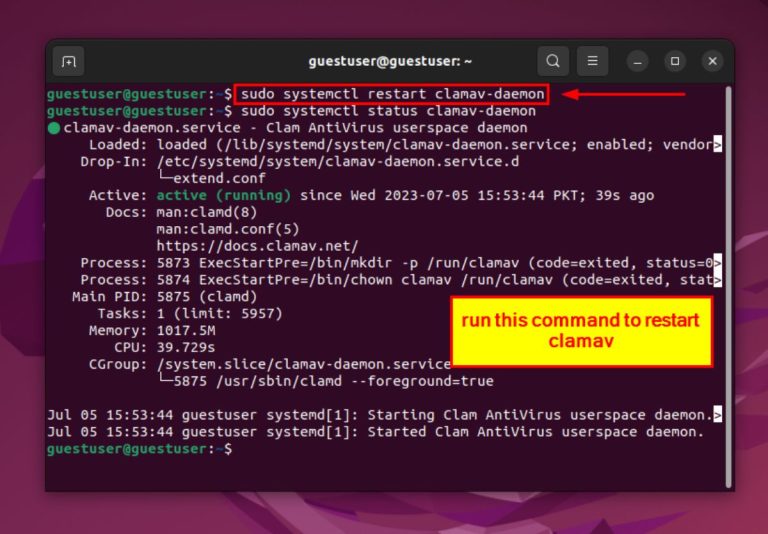 How to Install ClamAV on Ubuntu [12 Easy Steps]