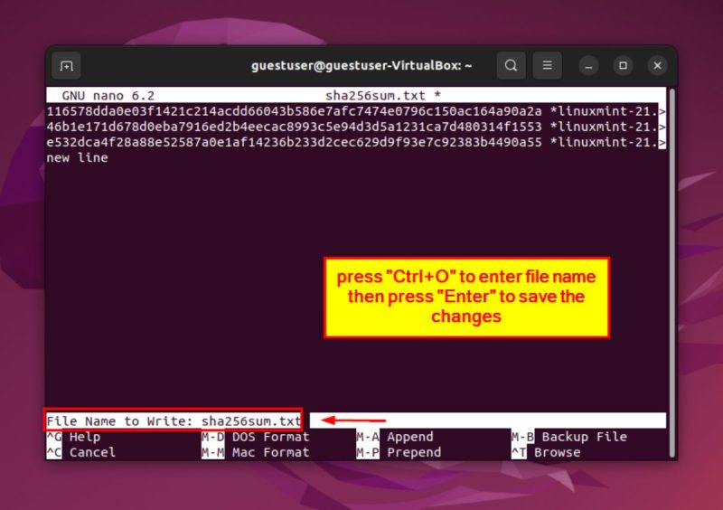How to Save and Quit Nano [2 Easy Methods]