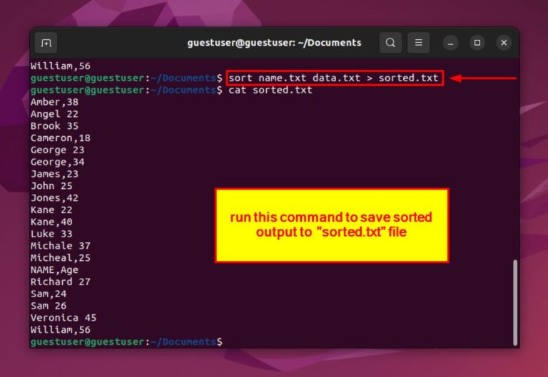 How to Use the Sort Command in Linux [10 Easy Ways]