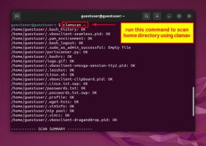 How to Install ClamAV on Ubuntu [12 Easy Steps]