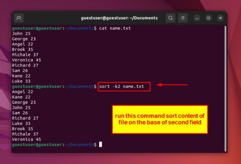 How to Use the Sort Command in Linux [10 Easy Ways]
