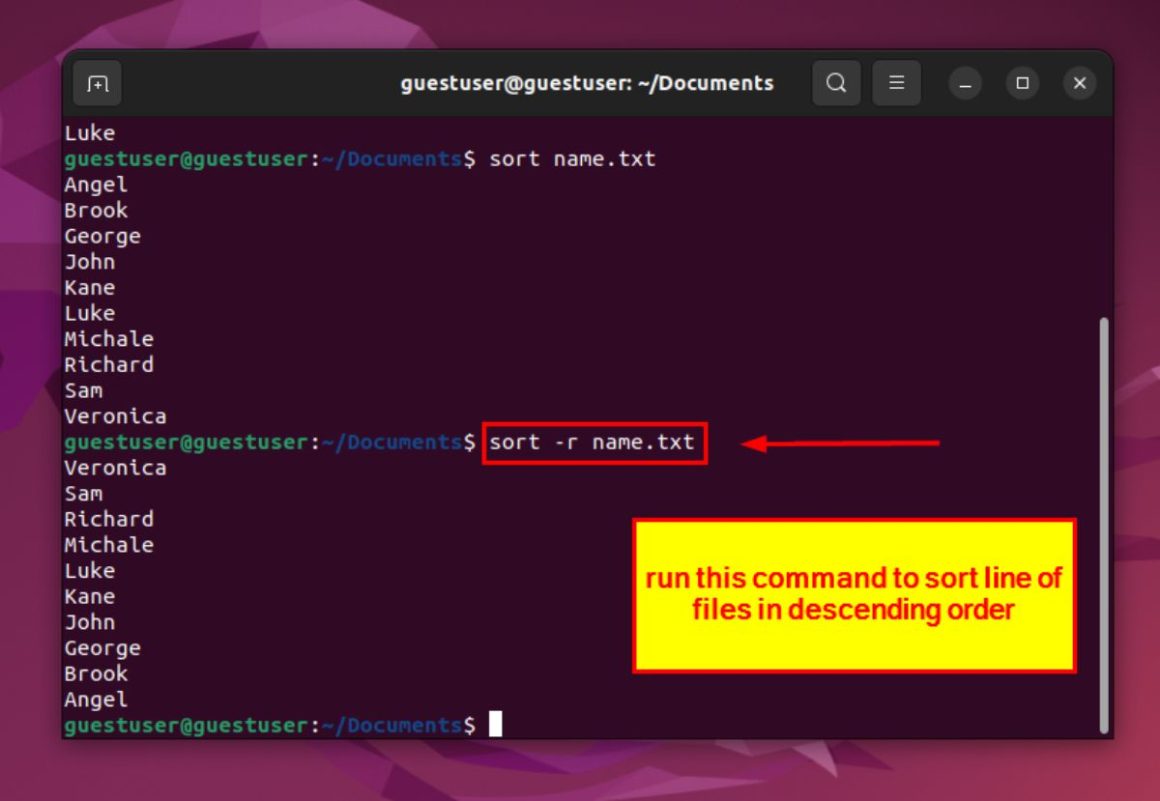 How to Use the Sort Command in Linux [10 Easy Ways]