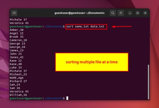 How to Use the Sort Command in Linux [10 Easy Ways]