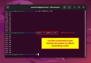 How to Use the Sort Command in Linux [10 Easy Ways]