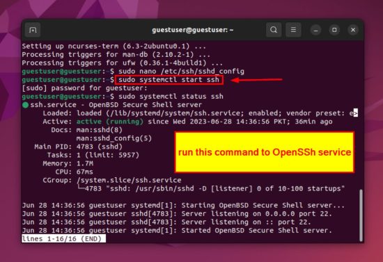 Install And Enable Openssh-Server On Ubuntu Linux – NVFS