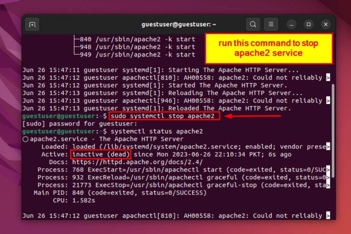 How to Restart Apache Ubuntu [5 Best Methods]