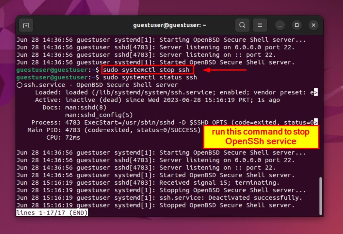 How to Install OpenSSH on Ubuntu[15 Easy Steps]