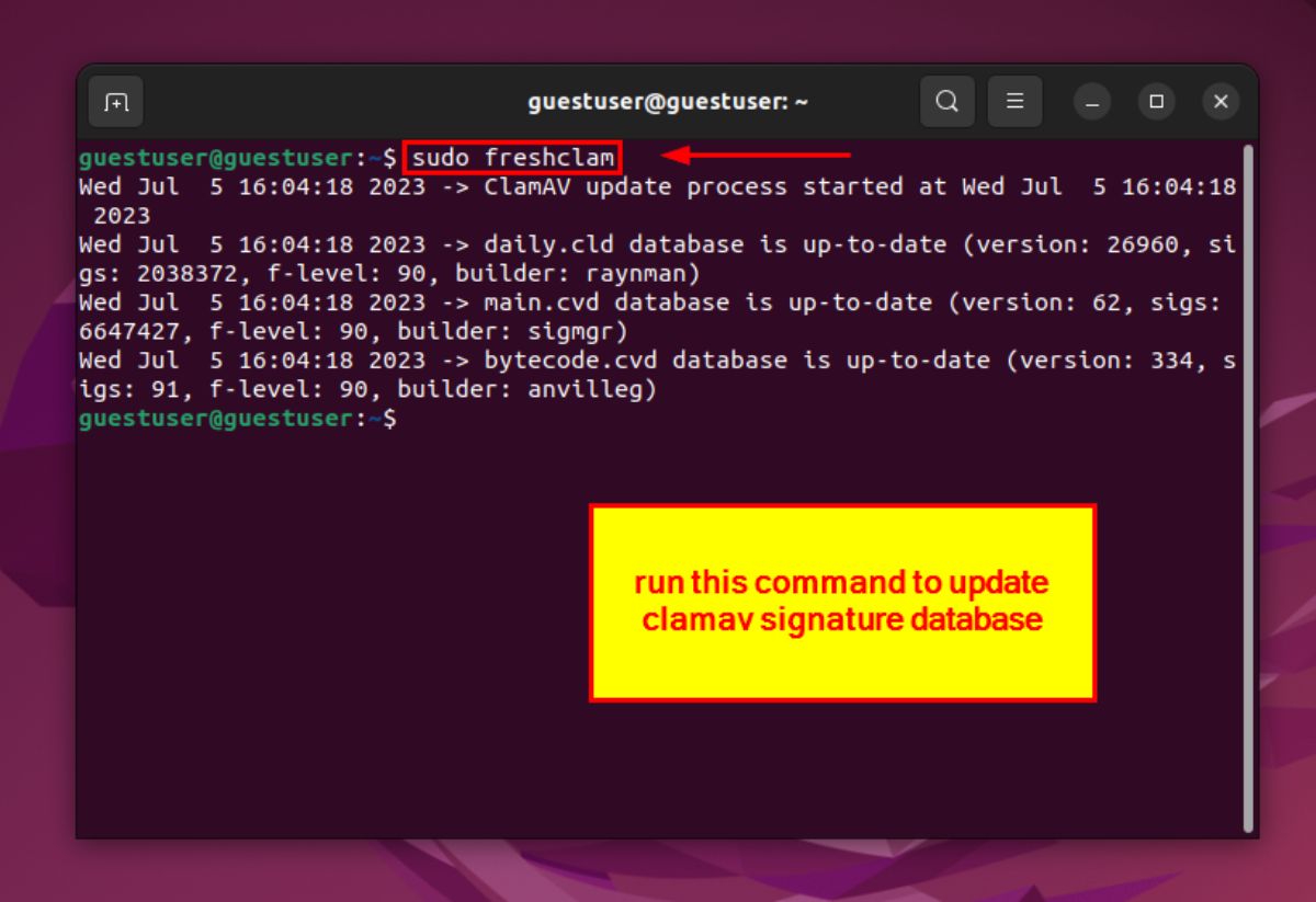 How to Install ClamAV on Ubuntu [12 Easy Steps]
