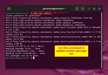 How to Install ClamAV on Ubuntu [12 Easy Steps]