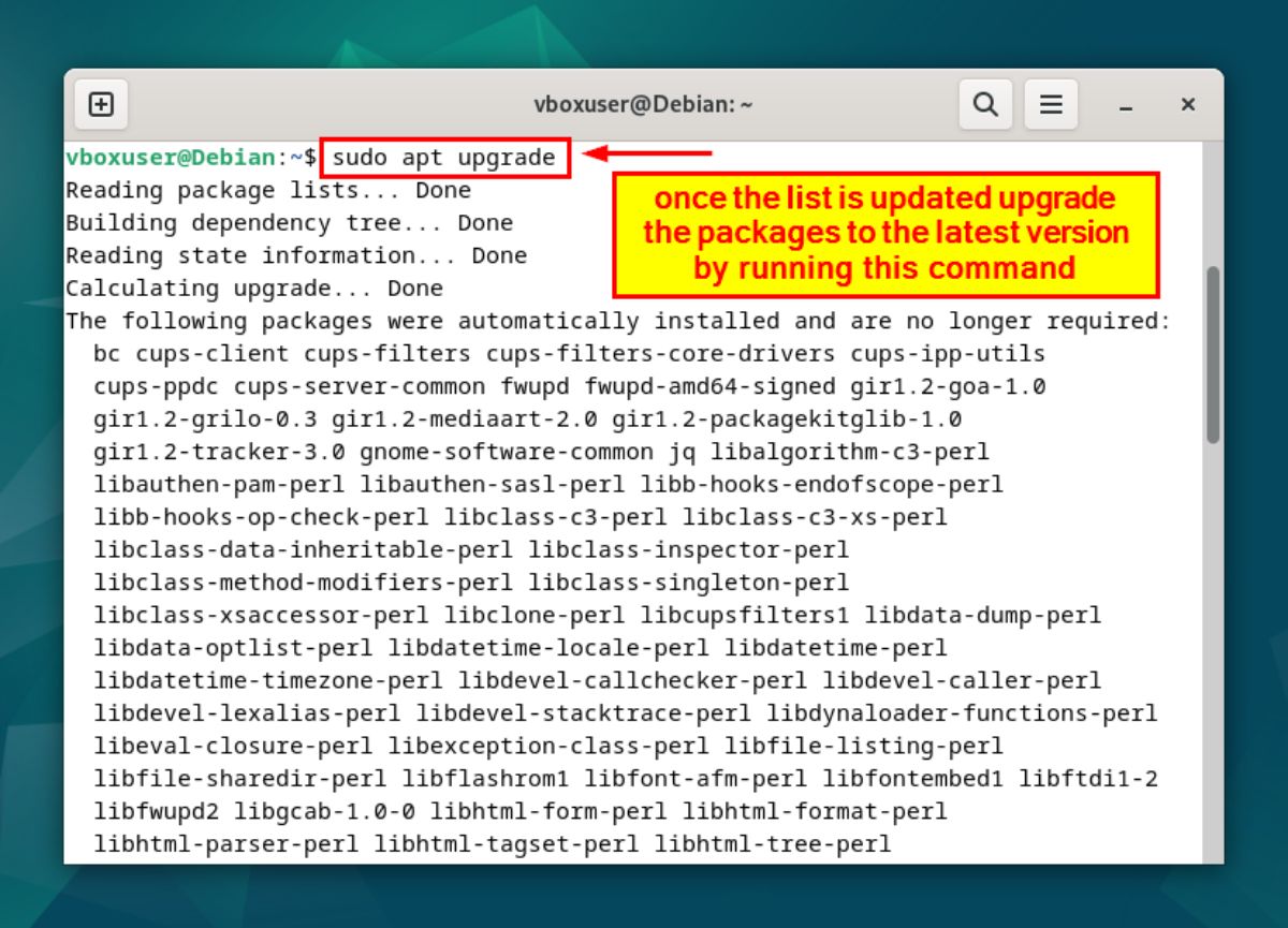 How to Update Debian Linux [4 Effective Methods]