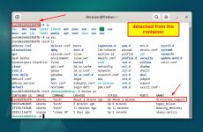 How to Exit Docker Container Like a Pro [6 Best Methods]