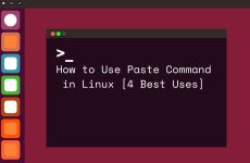 How To Copy and Paste Commands in Linux Terminal[4 Best Methods]