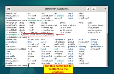How to Exit Docker Container Like a Pro [6 Best Methods]