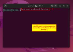 How to Create Home Directory for User Linux [10 Easy Steps]