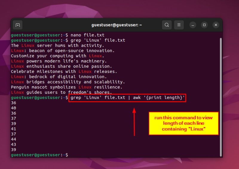How to Find Bash String Length [5 Best Methods]