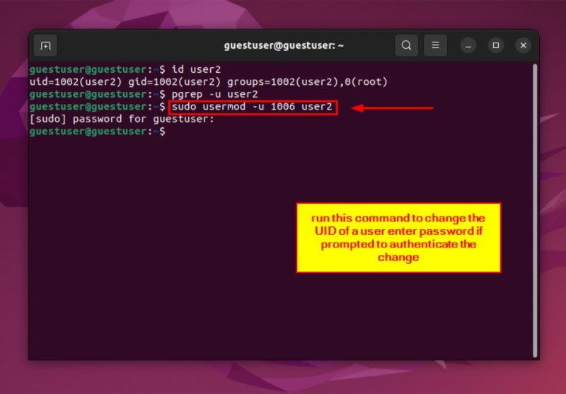 How to Find UID of a User in Linux [3 Best Methods]