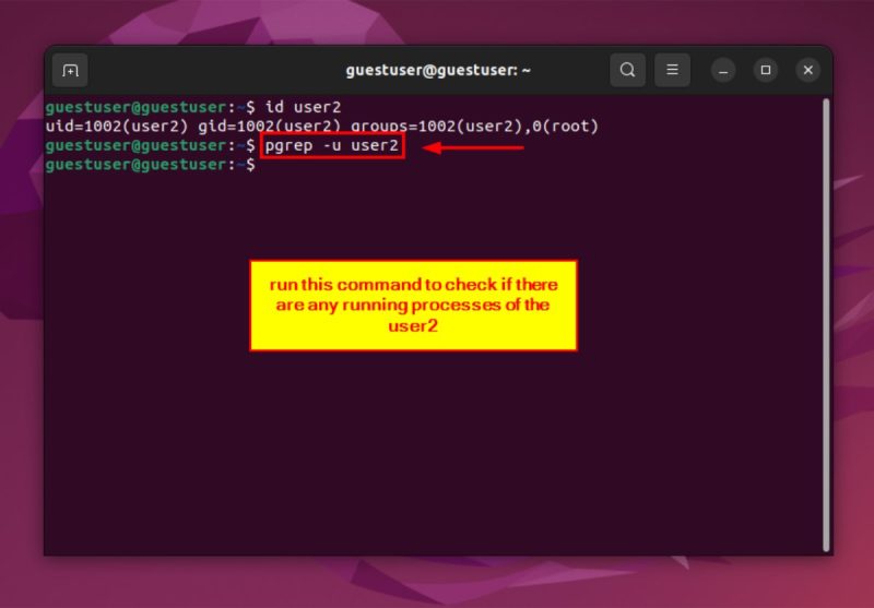 How to Find UID of a User in Linux [3 Best Methods]