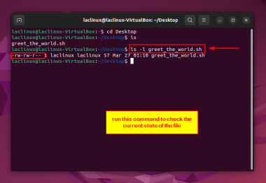 How To Make Bash Script Executable? [3 Proven Methods]