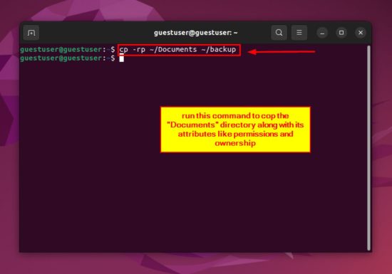 How To Copy Directory Linux [4 Best Methods]