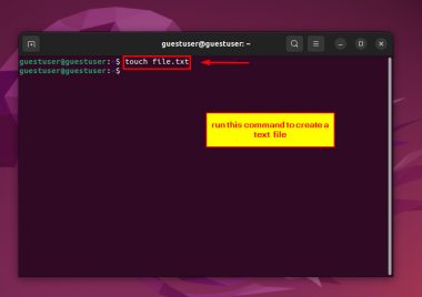 How to Find Bash String Length [5 Best Methods]