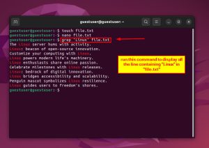 How to Find Bash String Length [5 Best Methods]