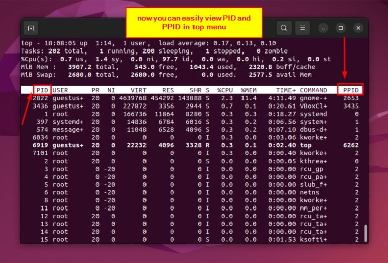 How to Find the PID and PPID Linux [7 Easy Methods]