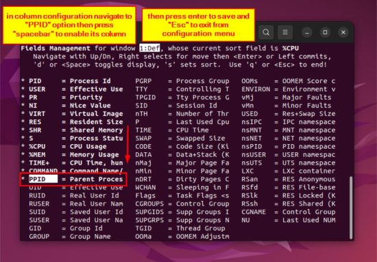 How to Find the PID and PPID Linux [7 Easy Methods]