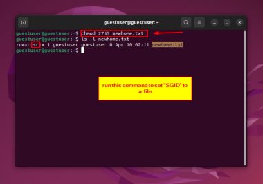 3 Easy Ways To Set Special Permission in Linux?