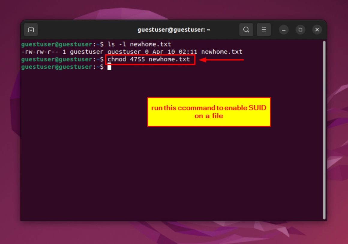 3 Easy Ways To Set Special Permission in Linux?