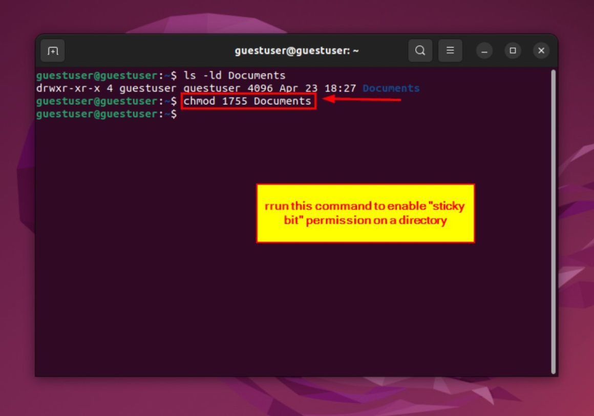 3 Easy Ways To Set Special Permission in Linux?