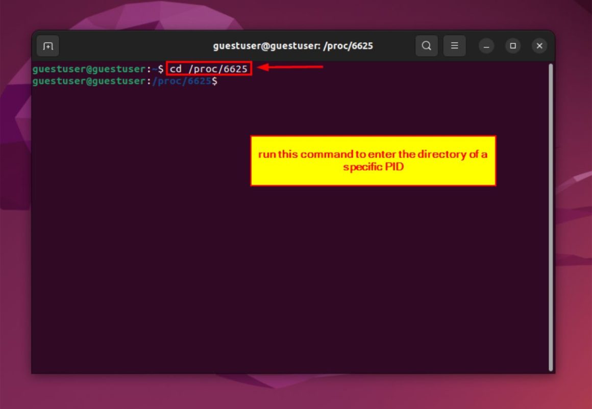 How to Find the PID and PPID Linux [7 Easy Methods]