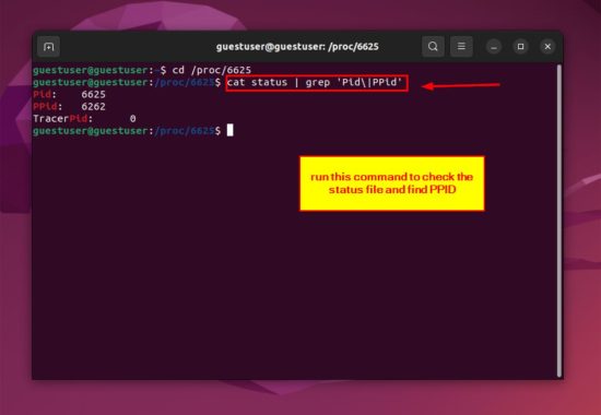 How to Find the PID and PPID Linux [7 Easy Methods]
