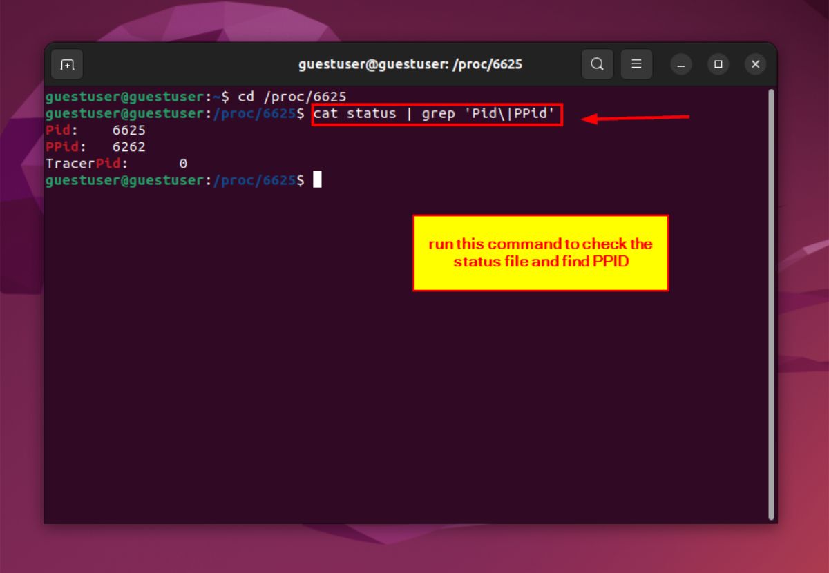 How to Find the PID and PPID Linux [7 Easy Methods]