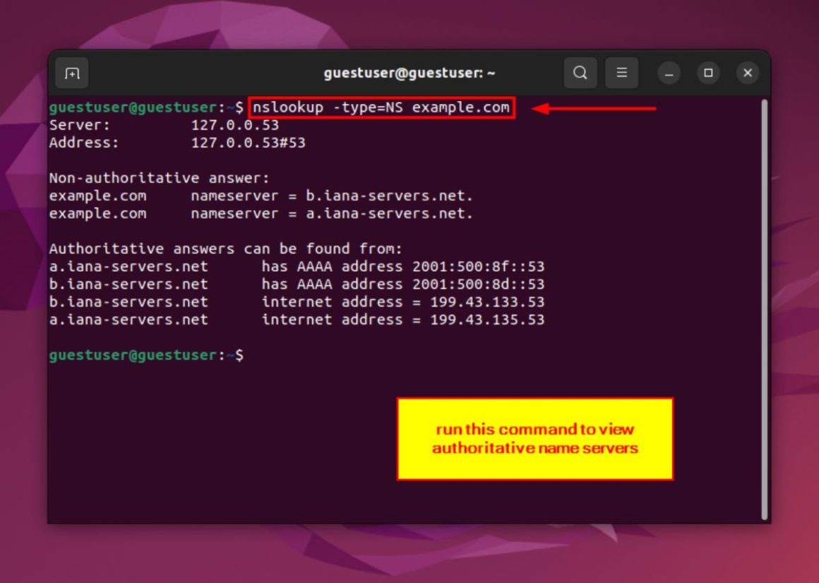 How to Use Nslookup Command in Linux [10 Best Ways]
