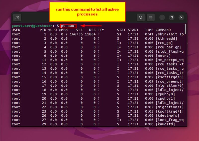 How to Find the PID and PPID Linux [7 Easy Methods]