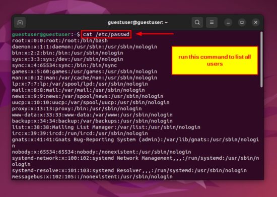 How to Create Home Directory for User Linux [10 Easy Steps]