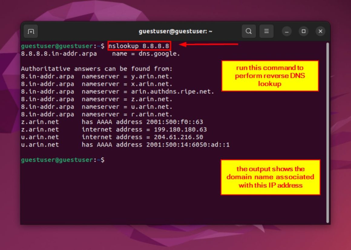 How to Use Nslookup Command in Linux [10 Best Ways]