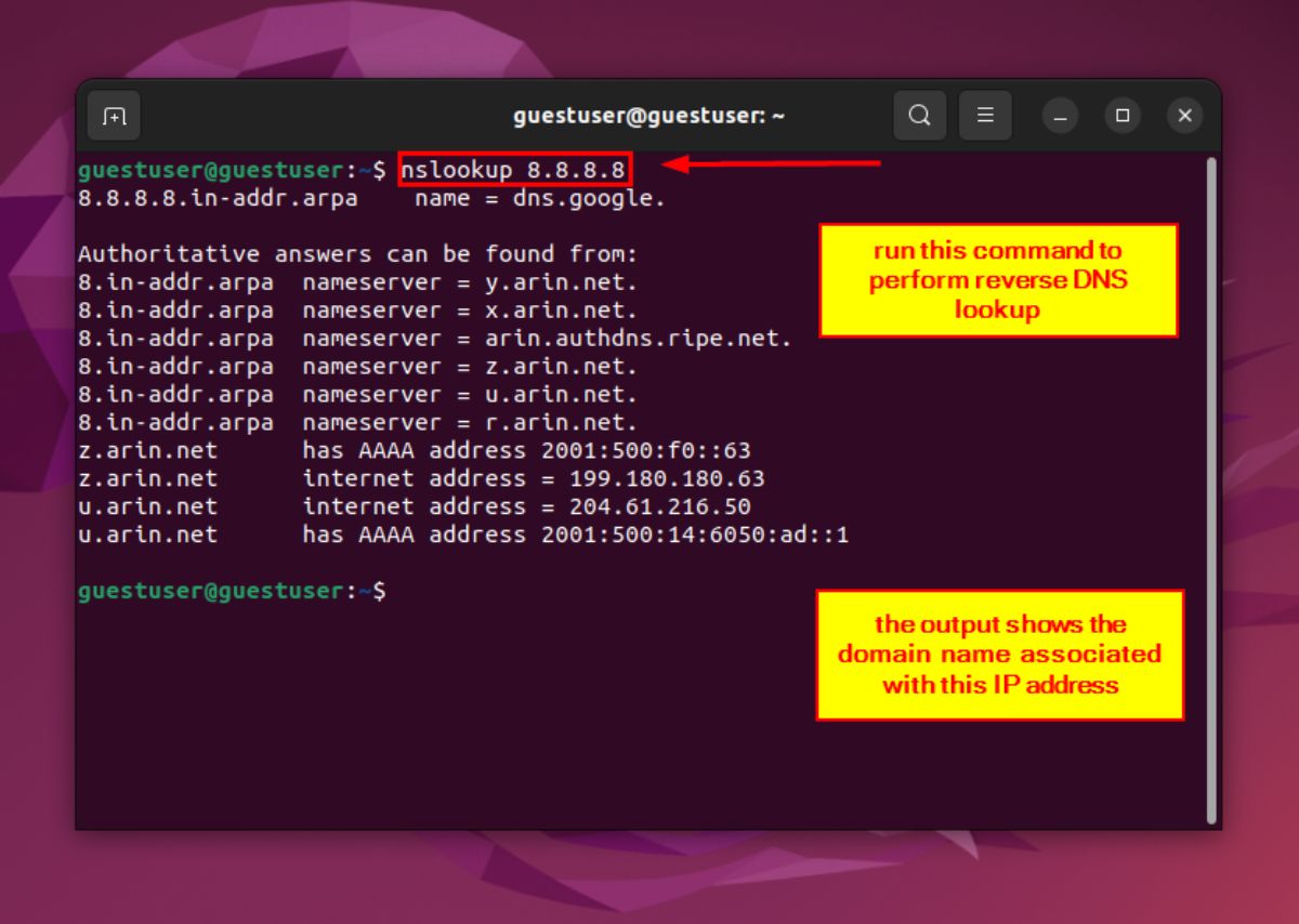 How to Use Nslookup Command in Linux [10 Best Ways]