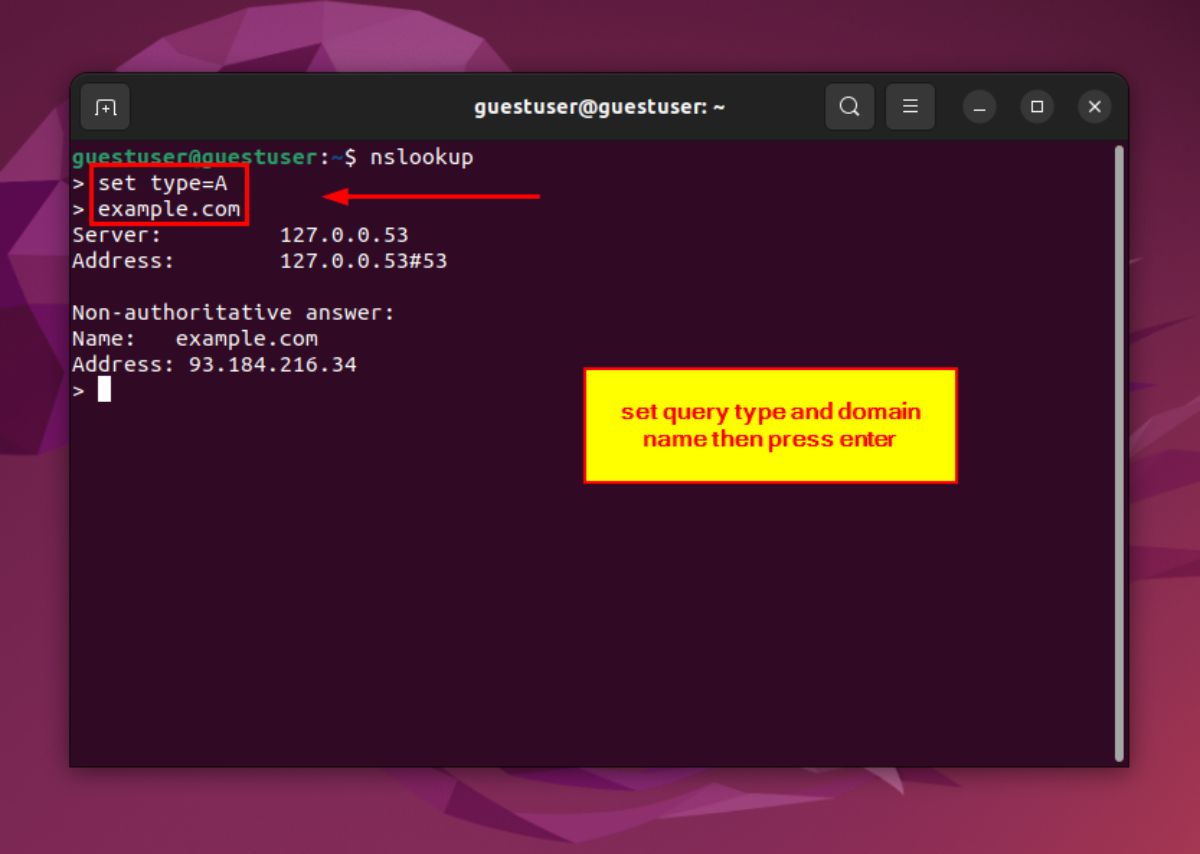 How to Use Nslookup Command in Linux [10 Best Ways]