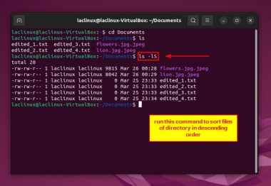 5 Ways To Use ls Command to Sort Files by Size in Linux