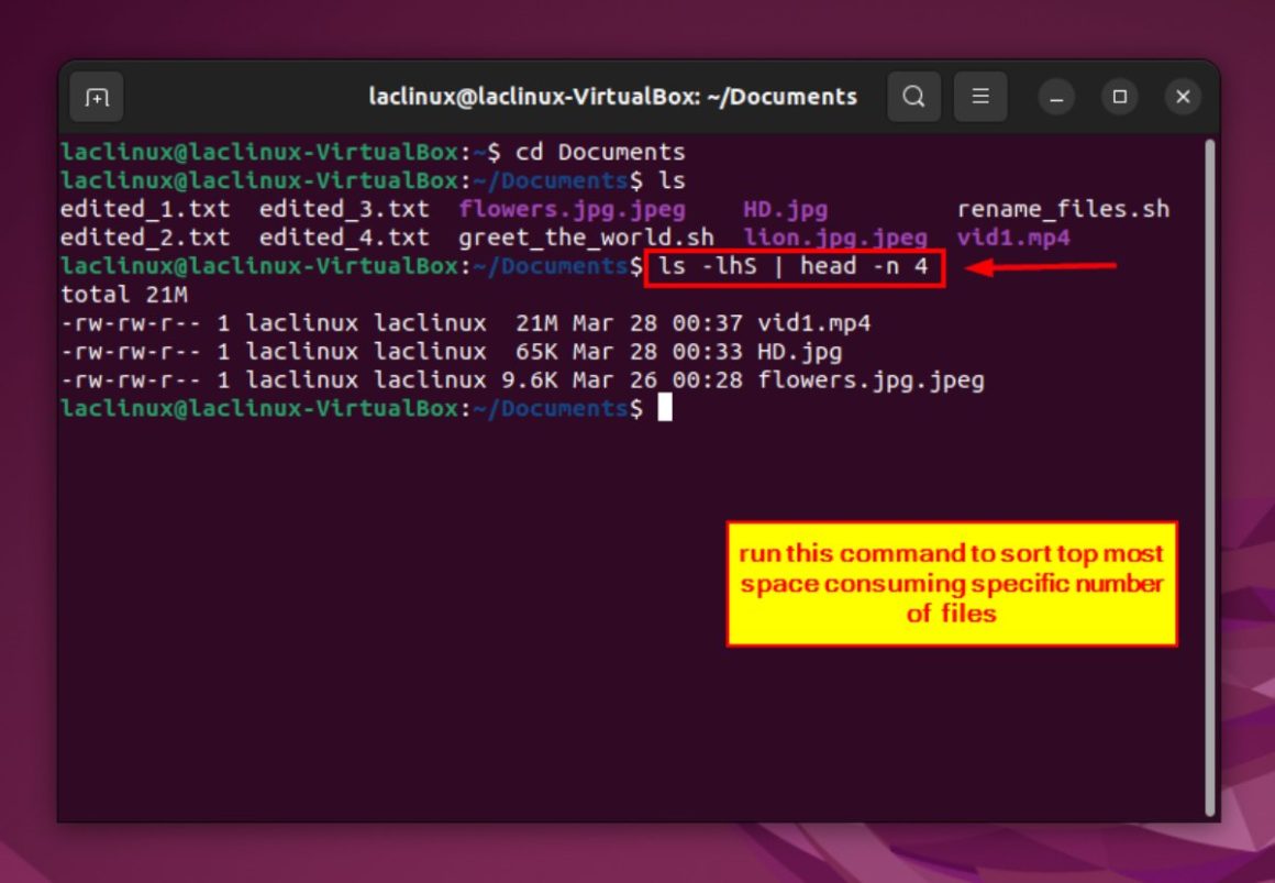 5 Ways To Use ls Command to Sort Files by Size in Linux